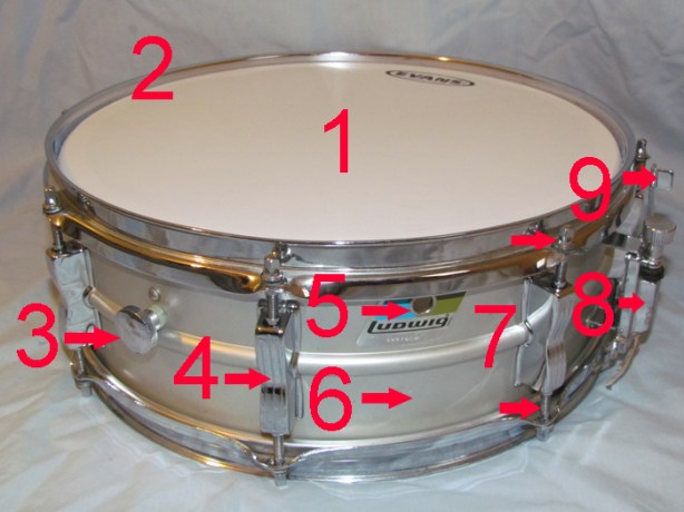 Snare Drum Anatomy | Drummin' Around