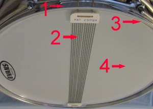 Snare Drum Anatomy | Drummin' Around